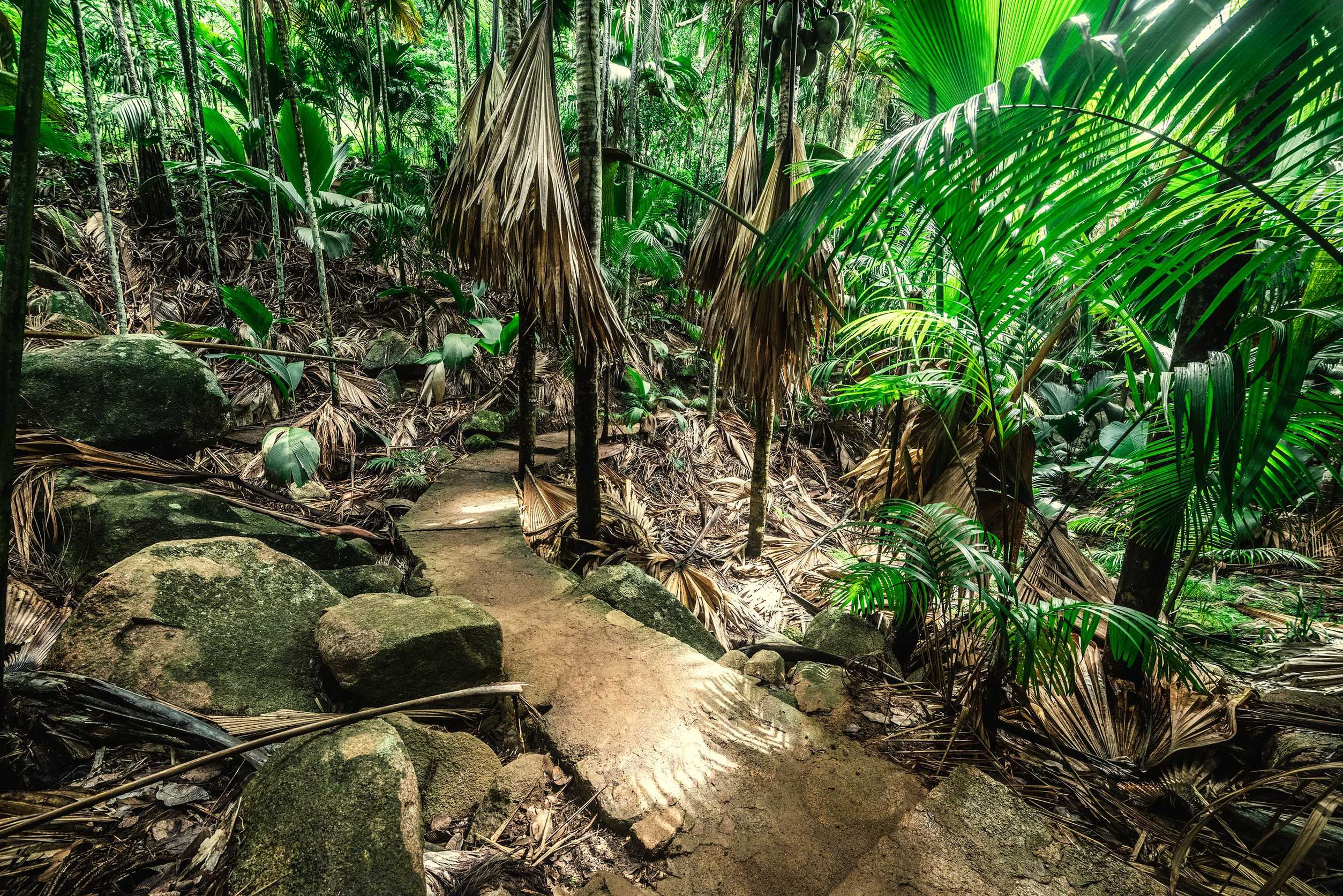 A Guide to the Best Places to Visit in Seychelles